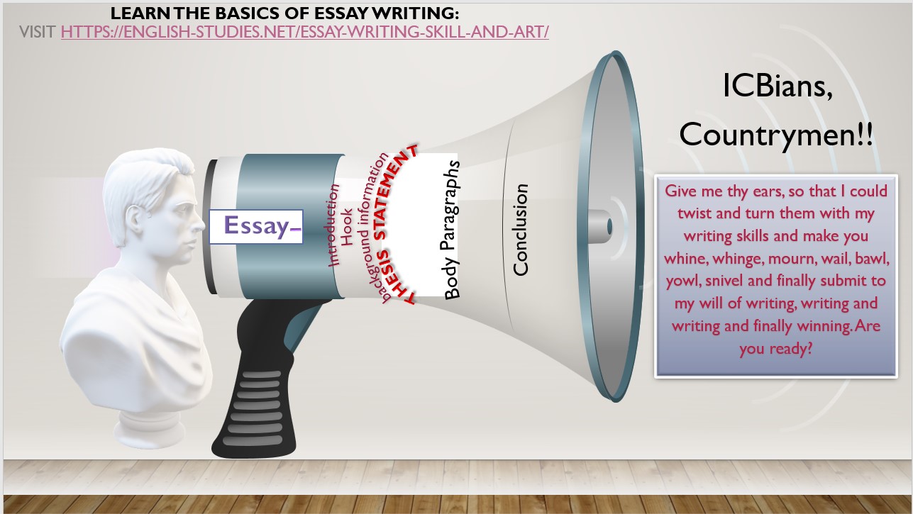 Essay Writing - English Studies