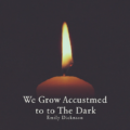 "We Grow Accustomed to the Dark" by Emily Dickinson: Analysis - Poem ...