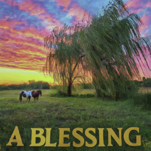 "A Blessing" by James Wright: A Critical Analysis - Poem Analysis